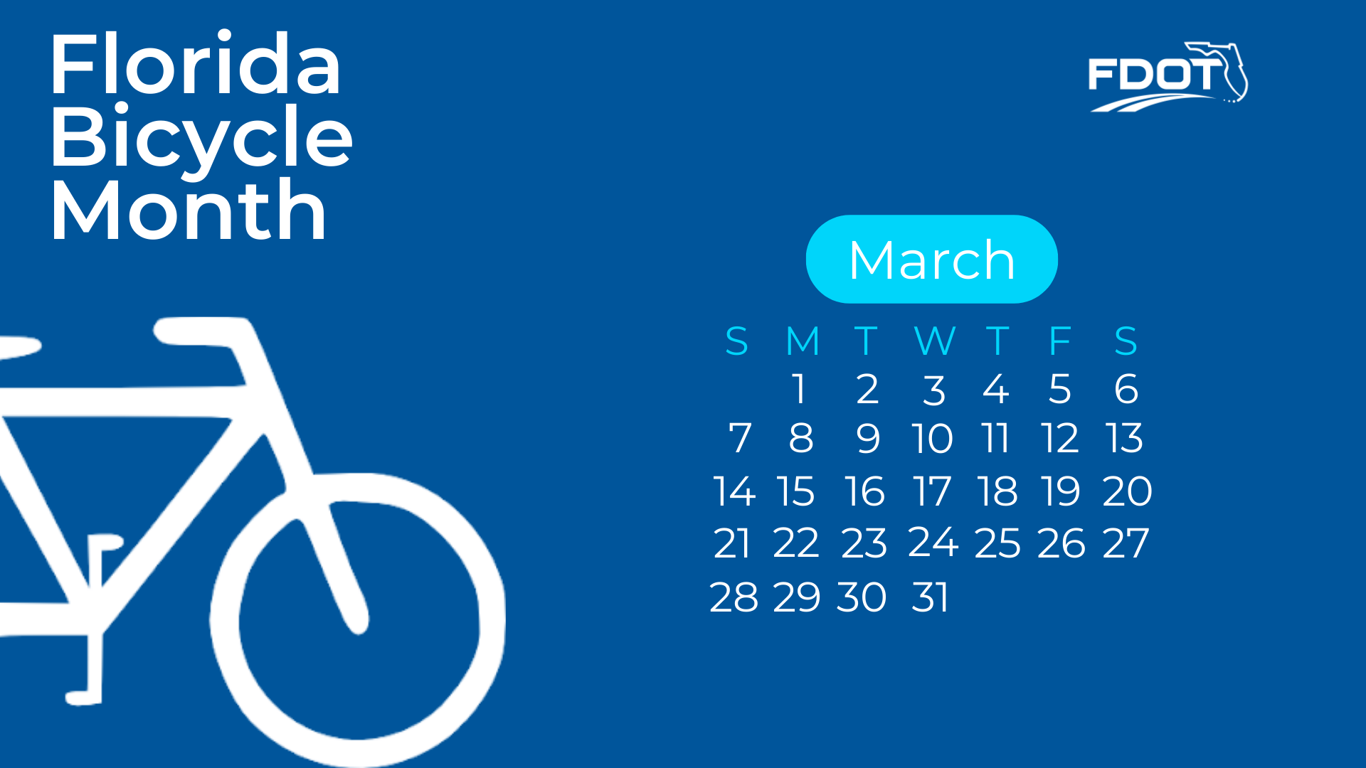 Bicycle Safety